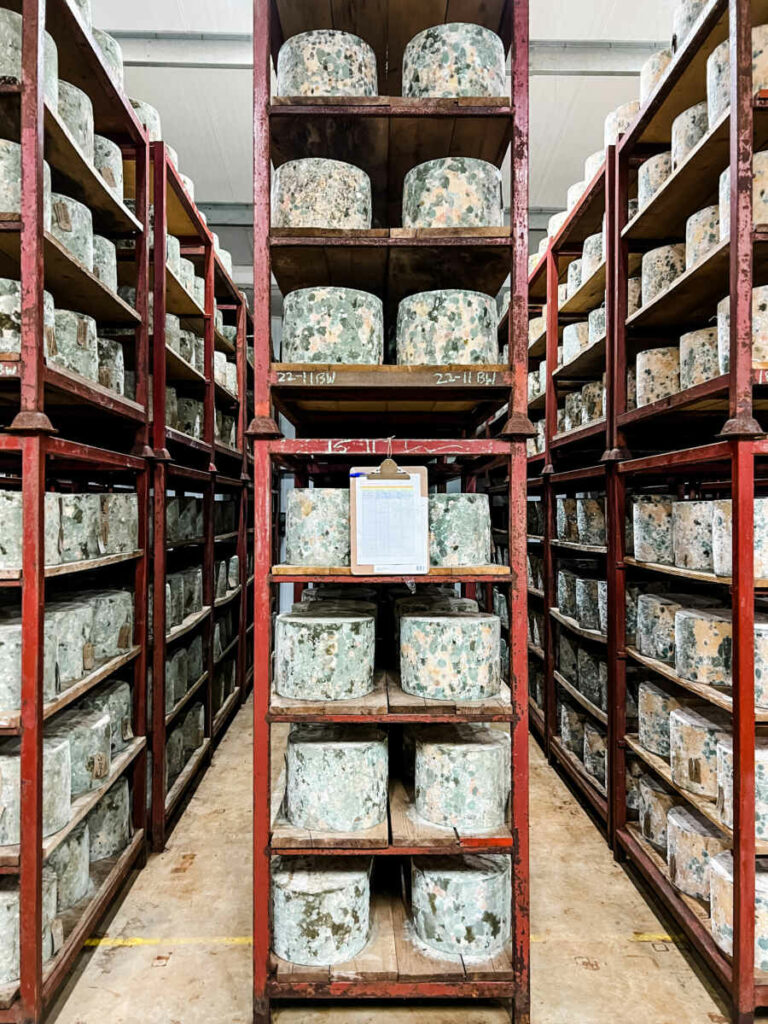 Adventures on a Cheese Tour - Chair Whimsy