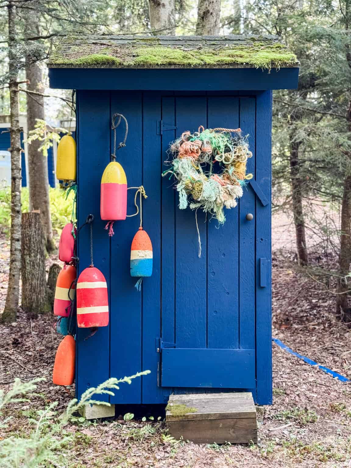 From “Yikes” to Yacht Club: Our Outhouse Transformation Chair Whimsy ...